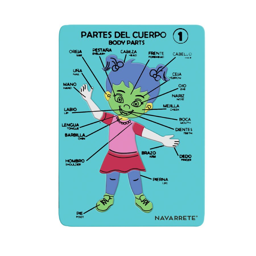 Partes Del Cuerpo Niña Didáctico 👧 Aprende El Cuerpo Humano 3037